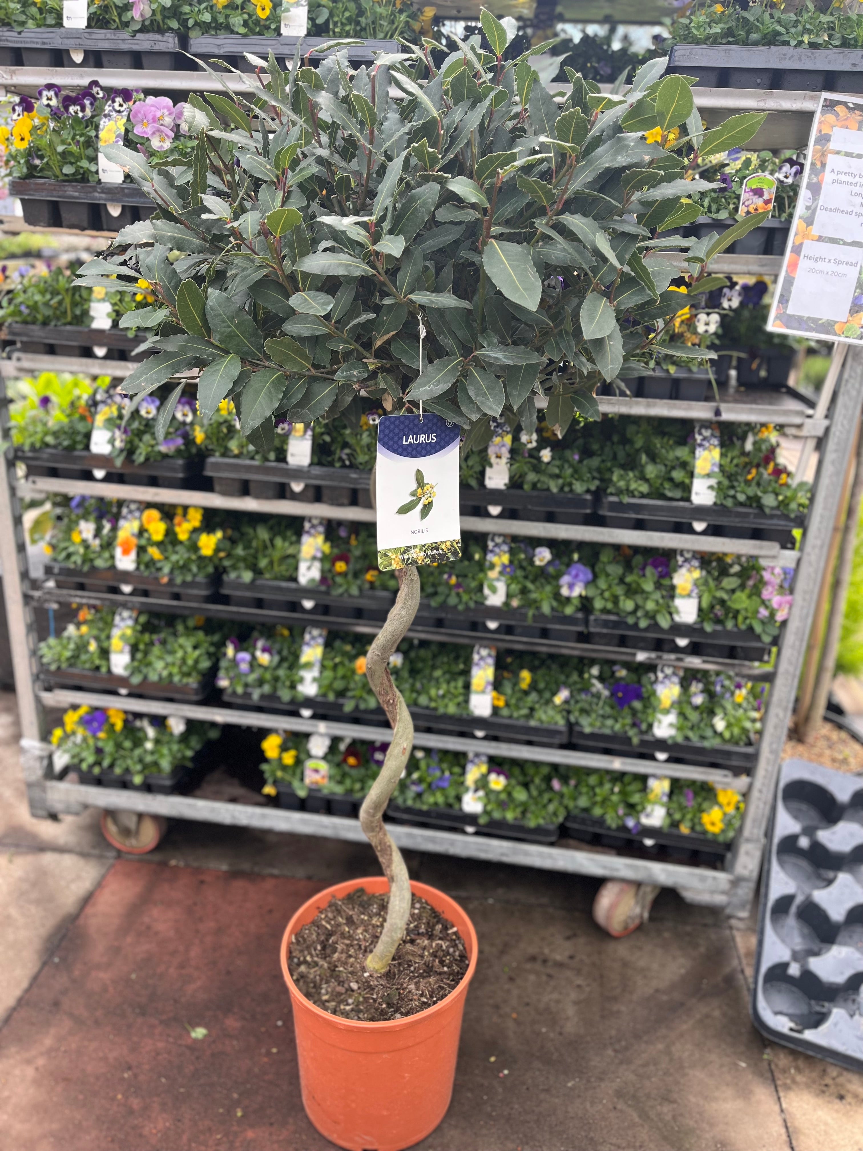 Booths Garden Centre